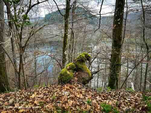 Wandern in der Vulkaneifel – Entlang der schönsten Landschaftspfade in ...